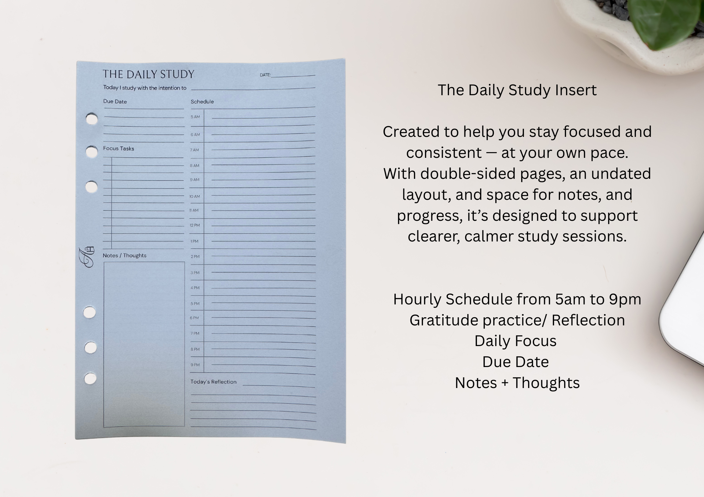 Daily Study Insert – Adore Card